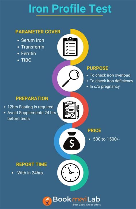 Iron Profile Test Price Procedure Results Normal Range