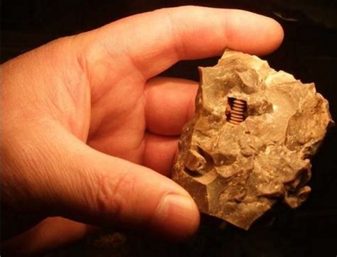 11 Extraordinary Out-Of-Place Artifacts | MessageToEagle.com