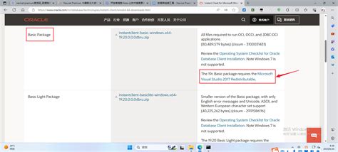 【oracle学习笔记01】win11虚拟机安装oracle 19c（保姆教程）oracle19c安装教程 Csdn博客