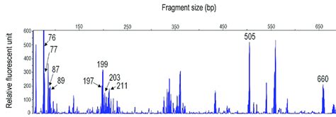 16s Rdna Based T Rflp Fingerprint Pattern Obtained With Cfoi