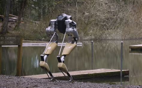 News Meet Cassie The Creepy Bipedal Robot The Test Pit