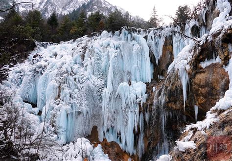 四川平武：玉树琼花漫山开 雪山冰瀑入画来四川在线