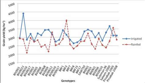 Yield Comparison Of Different Wheat Genotypes Under Irrigated And