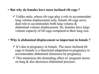 Anatomical Basis For Respiration In Female Vs Male PPTX Pregnancy Reproductive Health