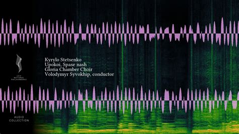 Kyrylo Stetsenko Upokoi Spase Nash Youtube