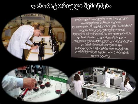 Shala მოყვანა презентация онлайн