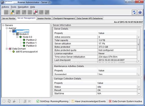 了解 Avamar Administrator 中的“data Protected”（v70）值 Dell 中国