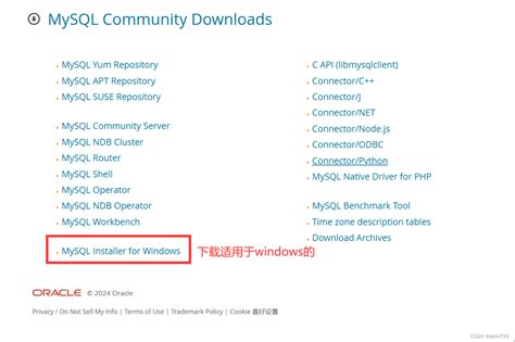 2024mysql 8027安装详细教程（保姆级）mysqlwindows安装教程8027 Csdn博客
