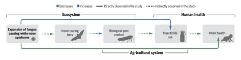 The Desperation Of Causal Inference In Ecology Statistical Modeling Causal Inference And