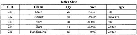 cbse sample papers for class 11 informatics practices set 2 with solutions