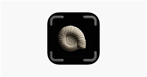 ‎fossil Identifier Fossilai En App Store