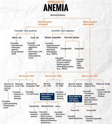 Anemia Approach And Evaluation Manual Of Medicine