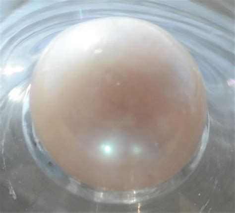 顶级珍珠 东珠究竟是什么？幻丽景色的朦胧一颗最低价值30万？一百年以上成珠不可再生的野生宝贝，未来价值只会更高 知乎