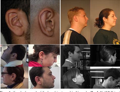 figure 1 from ear detection and localization with convolutional neural