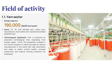 Field Of Activity Vinatex