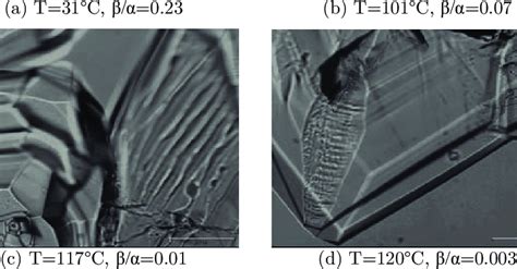 Numerically solved α and β values at various temperatures Download