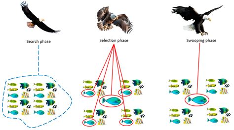 Fuel Cell Electric Vehicle Hydrogen Consumption And Battery Cycle