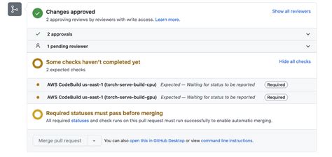 CI Blocked Issue Pytorch Serve GitHub