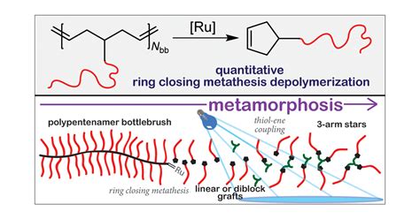 Depolymerization Of Bottlebrush Polypentenamers And Their Macromolecular Metamorphosis Journal