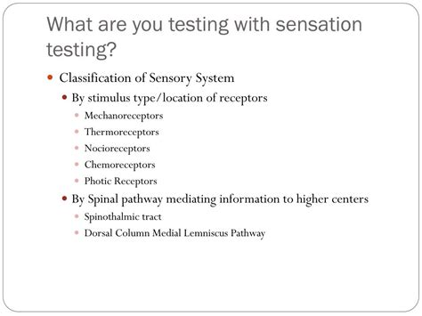 Ppt Sensation Powerpoint Presentation Free Download Id2049314