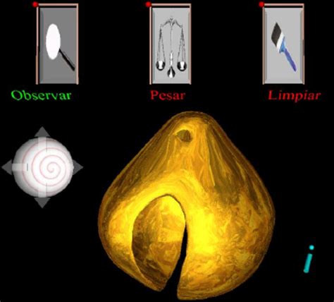 Weighing An Object In The Haptic Installation Download Scientific Diagram