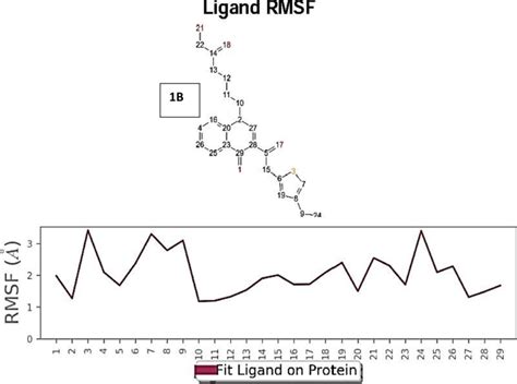 A Plot Of Ligand 1b Root Mean Square Fluctuation L Rmsf Download Scientific Diagram