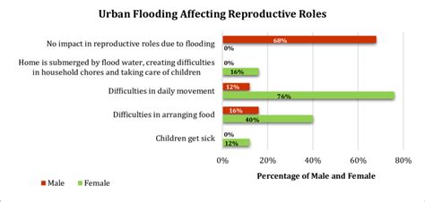 8 Urban Flooding Impact On Reproductive Roles Download Scientific