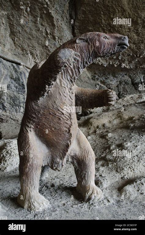 Cueva Del Milodon Natural Monument Chile January 28 2012 Life Size