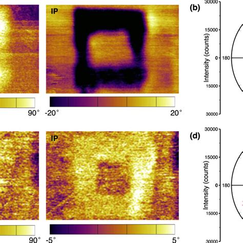 Ferroelectric Domains Vary With The Thickness Of 2d Inse A Pfm Phase