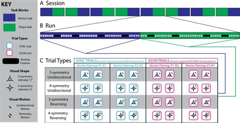 Counterbalancing Of Task And Stimulus Trials A For Eight Subjects