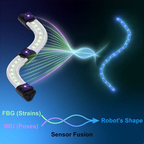 shape reconstruction of soft continuum robots via the fusion of local strains and global poses