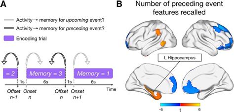 progression from feature specific brain activity to hippocampal binding during episodic encoding
