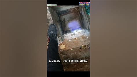 하수구속에 가득한 기름덩어리 Shorts Youtube