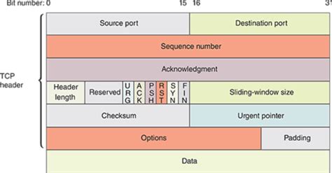 Protocols Flashcards Quizlet