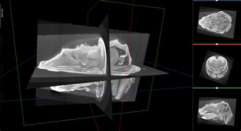 Visualizations In Facebase Data Documentation Site