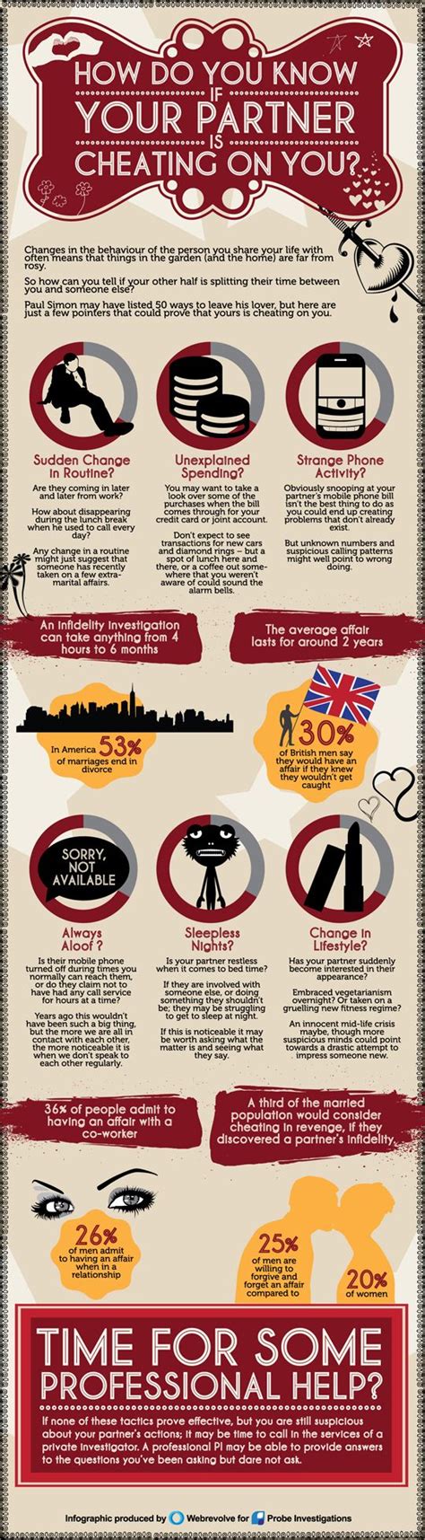 Probe Infographic Cheating Book Writing Tips Did You Know