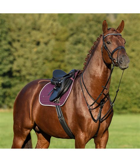 Oiled Leather Martingale with Quick Fit II - Kramer Equestrian