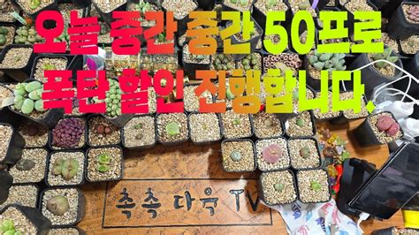 4월7일 오후3시30분부터 중간중간 50프로 폭탄세일~촉촉다육tv 출발합니다~촉촉촉촉다육오케이플랜츠 Youtube