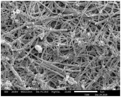 Polydopamine Modified Nanofiber Coating Based Nanofiltration Membrane And Preparation Method