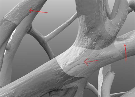 Multi Map Exporter Normal Maps Exported To MODO Help ZBrushCentral