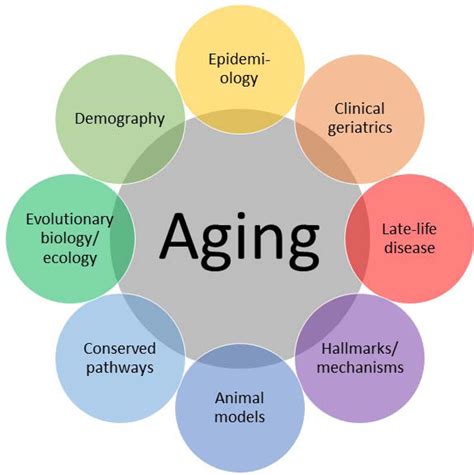 Lack Of Consensus On An Aging Biology Paradigm A Global Survey Reveals