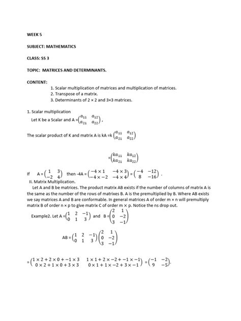 17593 Week 5 Matrices And Determinant Ii Pdf Matrix Mathematics