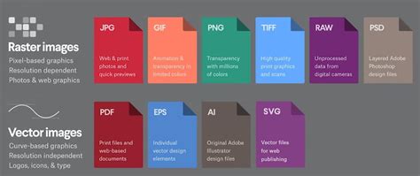 What Is The Difference Between A Vector Or Raster File
