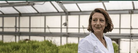 Msu Researcher Talks About Sending Seeds Into Space And Improving Plant