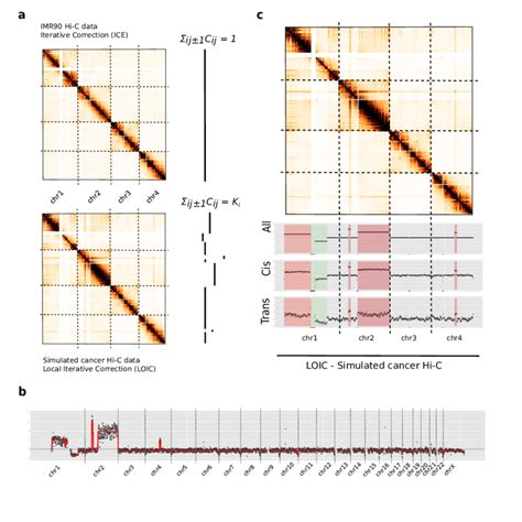 Generalization Of Matrix Balancing Algorithms For Cancer Hi C Data A