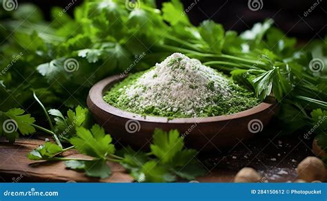 The Coriander Powder With Leaves Stock Illustration Illustration Of