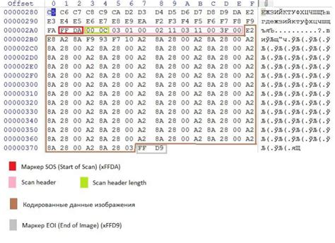 php jpeg injector injects php payloads into jpeg images redpacket
