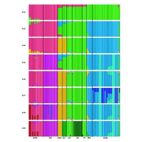 Admixture Based Clustering Considering K Between 2 And 9 For Each Download Scientific Diagram
