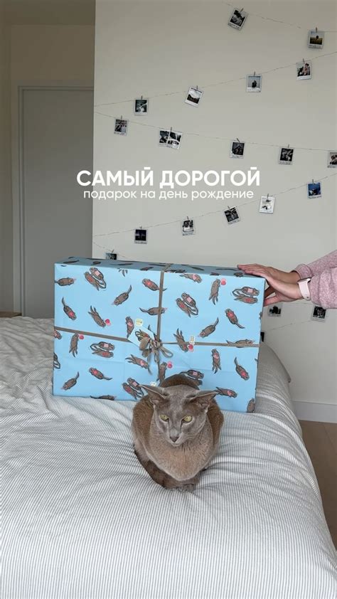 блог с 0 съемка Reels сторис Ugc и жизнь в США 💗 У НАС СКОРО СУД Подпишитесь на мой