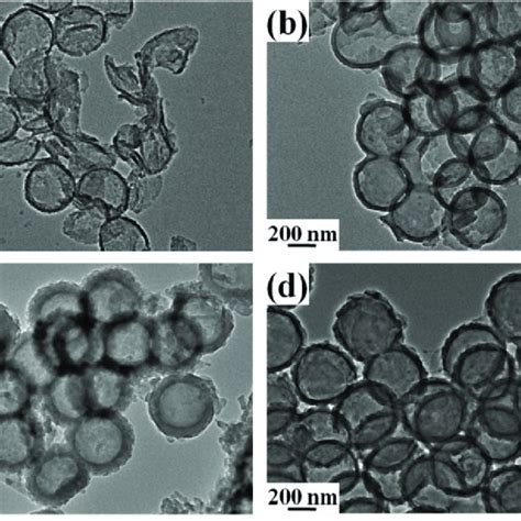 Schematic Showing Photochemical Crosslinking Reaction Between Download Scientific Diagram